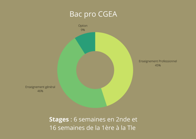 Bac Pro Conduite et Gestion de l'Entreprise Agricole (CGEA) - Lycée Flamarens Lavaur